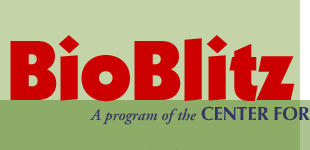 BioBlitz- University of Connecticut